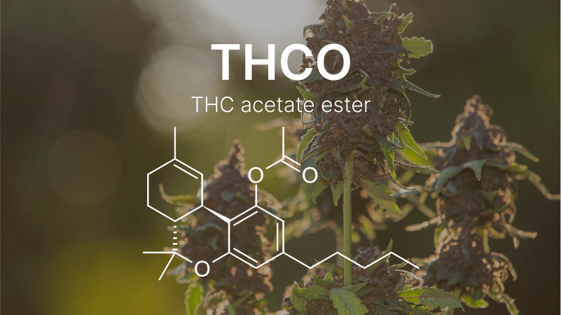 What is THCO? THCO Benefits, Side Effects, and Legality
